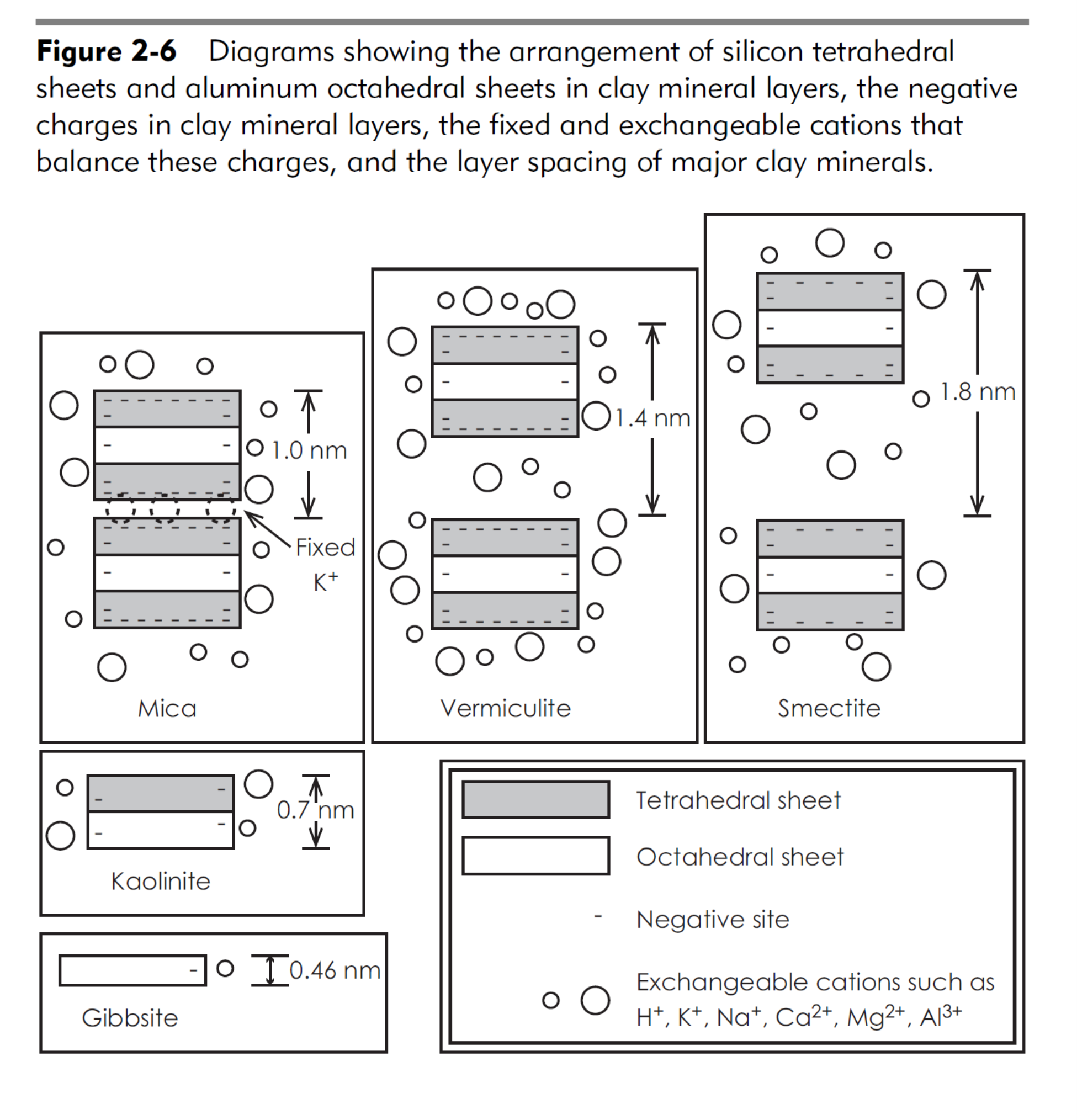 Soil and Roots - spring-lake .net